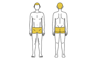 Front Back View Drawing Vector Images (over 4,400)