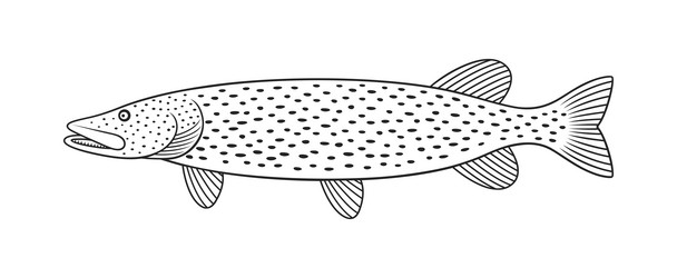 Pike Outline Vector Images (over 1,200)