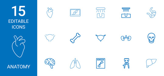 Anatomy Icons Vector Images (over 110,000)