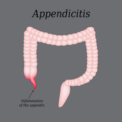 Appendix Vector Images (over 2,700)