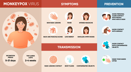 Monkeypox virus symptoms simple infographic post Vector Image