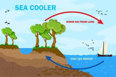 Sea And Land Breezes Animation