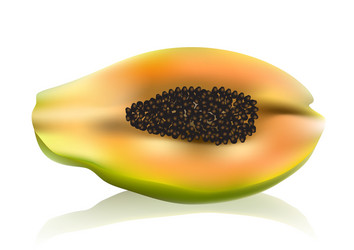 Papaya Vector Images (over 11,000)