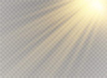 Glowing sunlight a transparent background Vector Image