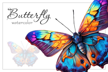 Watercolor butterfly clipart Royalty Free Vector Image