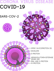 Virus Corona Cell Vector Images (over 26,000)