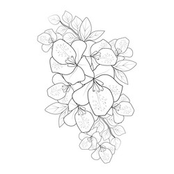 Botanical azalea flower drawing pattern Royalty Free Vector
