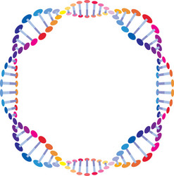 Circular dna chain science colorful icon Vector Image
