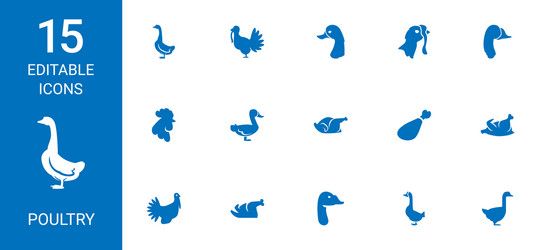 Poultry icons Royalty Free Vector Image - VectorStock