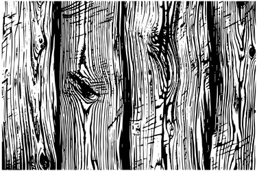 Distress dry wooden overlay texture template Vector Image