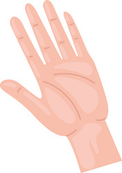 Open human hand Royalty Free Vector Image - VectorStock