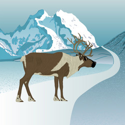 Map of the habitat reindeer caribou Royalty Free Vector