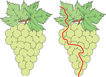 Easy Maze Vector Images (over 3,900)