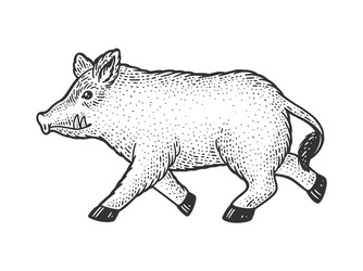 Running Wild Hog Vector Images (92)