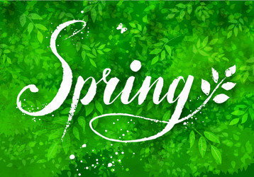 Spring word hand drawn lettering Royalty Free Vector Image