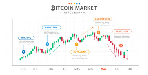 Bitcoin Infographic Vector Images (over 5,800)