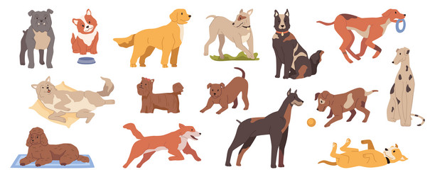Zoo Animals Flat Illustration Royalty Free Vector Image