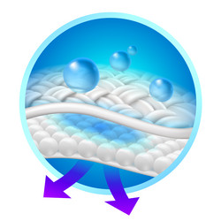 Moisture absorbent sheet and ventilation Vector Image