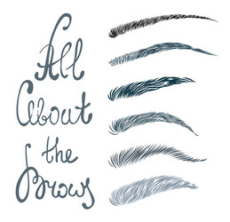 Brows Vector Images (over 8,100)
