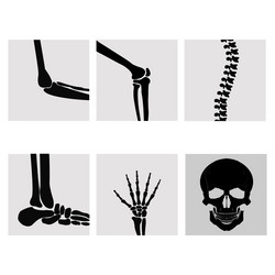Human joints knee Royalty Free Vector Image - VectorStock