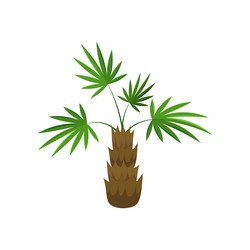 Sago Vector Images (over 160)