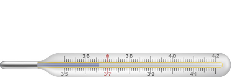Mometer Royalty Free Vector Image - VectorStock
