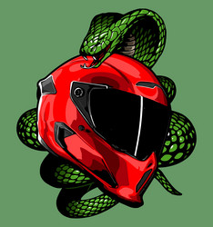 Gray devil pattern helmet wrapped around a snake Vector Image