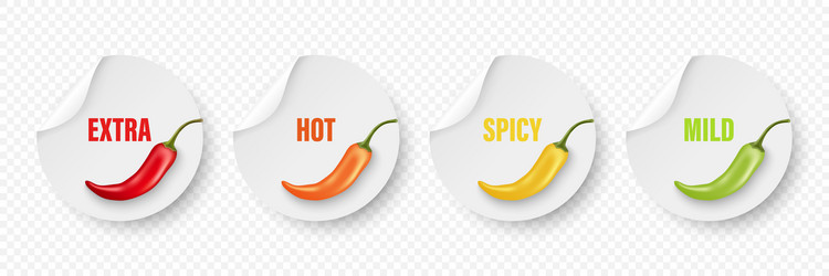 Realistic round stickers with spicy chili Vector Image