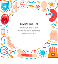Immune system cells cartoon flat different shaped Vector Image