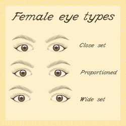 Eye shapes and types various female Royalty Free Vector