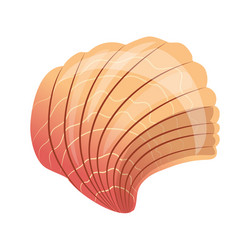 Turitella or tower screw shell an empty Royalty Free Vector