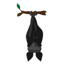 Happy cartoon bat hanging on tree Royalty Free Vector Image