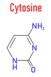Cytosine Formula Chemical Vector Images (54)