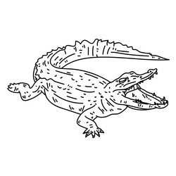 Cartoon Alligator Mouth Open Vector Images (over 150)