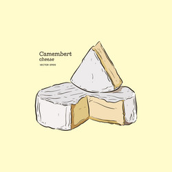 Cheese Drawing Camembert Vector Images (over 310)