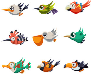 Collection birds with the different color Vector Image