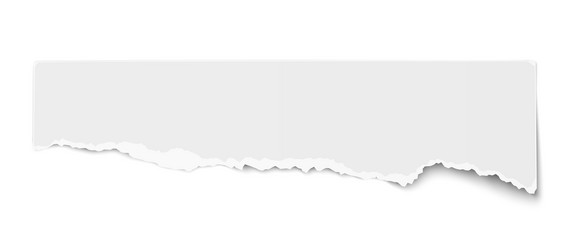 White Paper Oblong Vector Images (over 320)