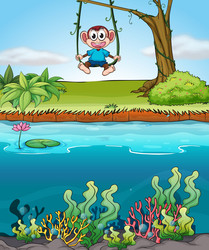 Monkey Swinging on Vine Vector Images (83)