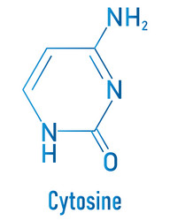 Cytosine Formula Chemical Vector Images (54)