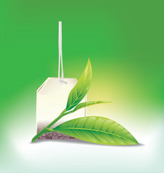 Tea Leaf Vector Images (over 50,000)