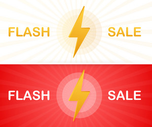Flash sale ribbon banner scroll price tag Vector Image