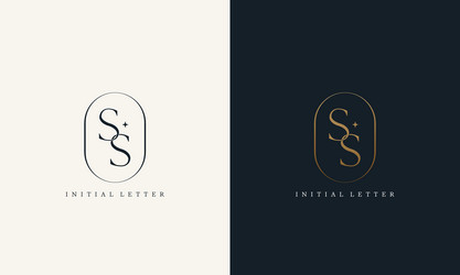 Ss Gold Vector Images (over 350)