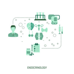 Endocrinology concept Royalty Free Vector Image