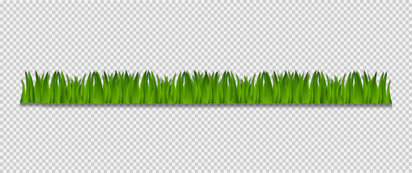 Weed Border Vector Images (over 3,600)