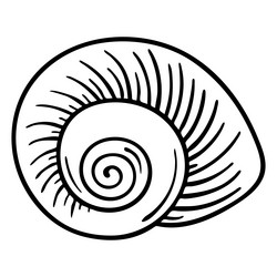 Nautilus Logo Vector Images (over 1,100)
