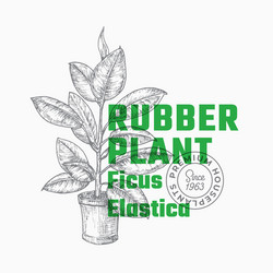 Rubber Tree Vector Images (over 4,700)