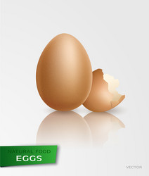 Hatching chick realistic poster Royalty Free Vector Image