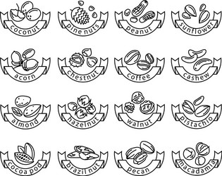 Nuts icons set Royalty Free Vector Image - VectorStock