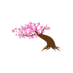 Sakura tree icon design template Royalty Free Vector Image