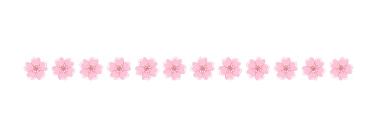 Cherry blossom divider spring floral border Vector Image